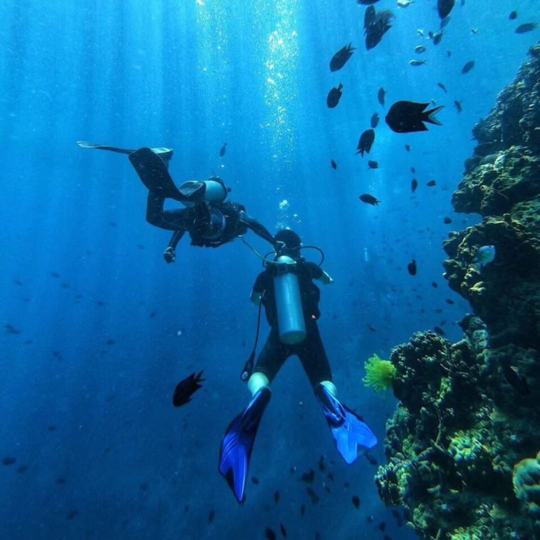 Camotes Island Fun Dive – Dive Bookings