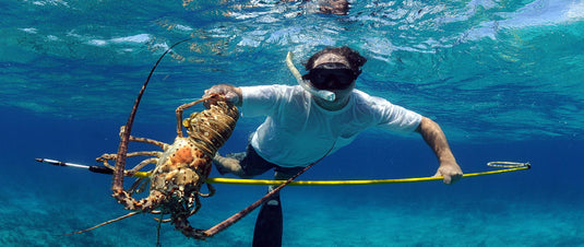 Moalboal Advanced Open Water Scuba Diving Course – Dive Bookings
